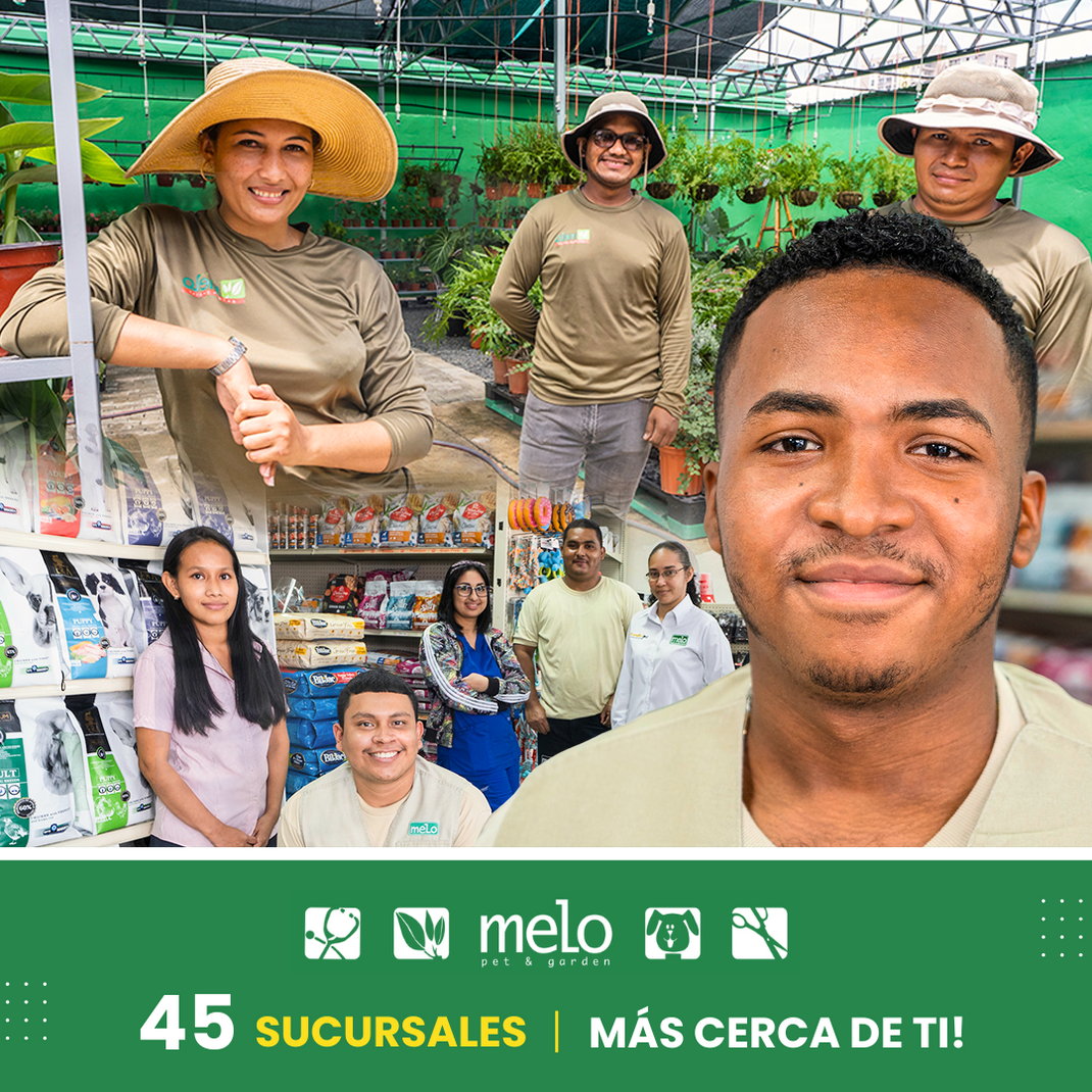 Nosotros – MELO Pet and Garden