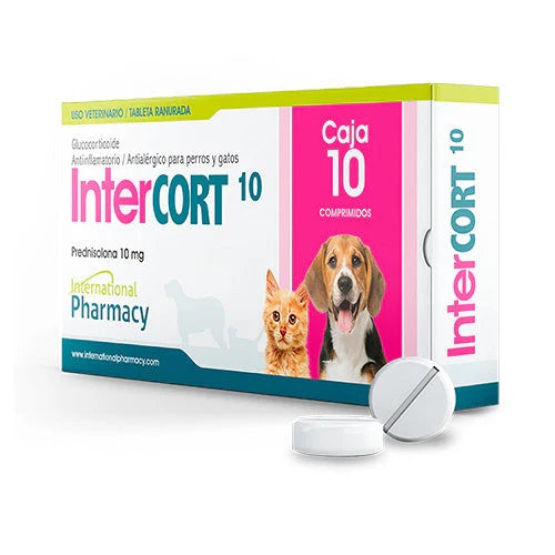Intercort 10Mg Caja de 10 Tabletas – MELO Pet and Garden